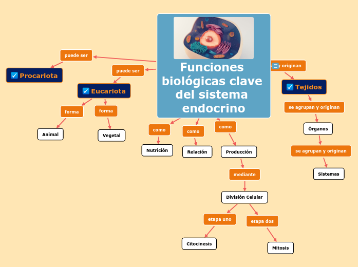 La célula - Mind Map